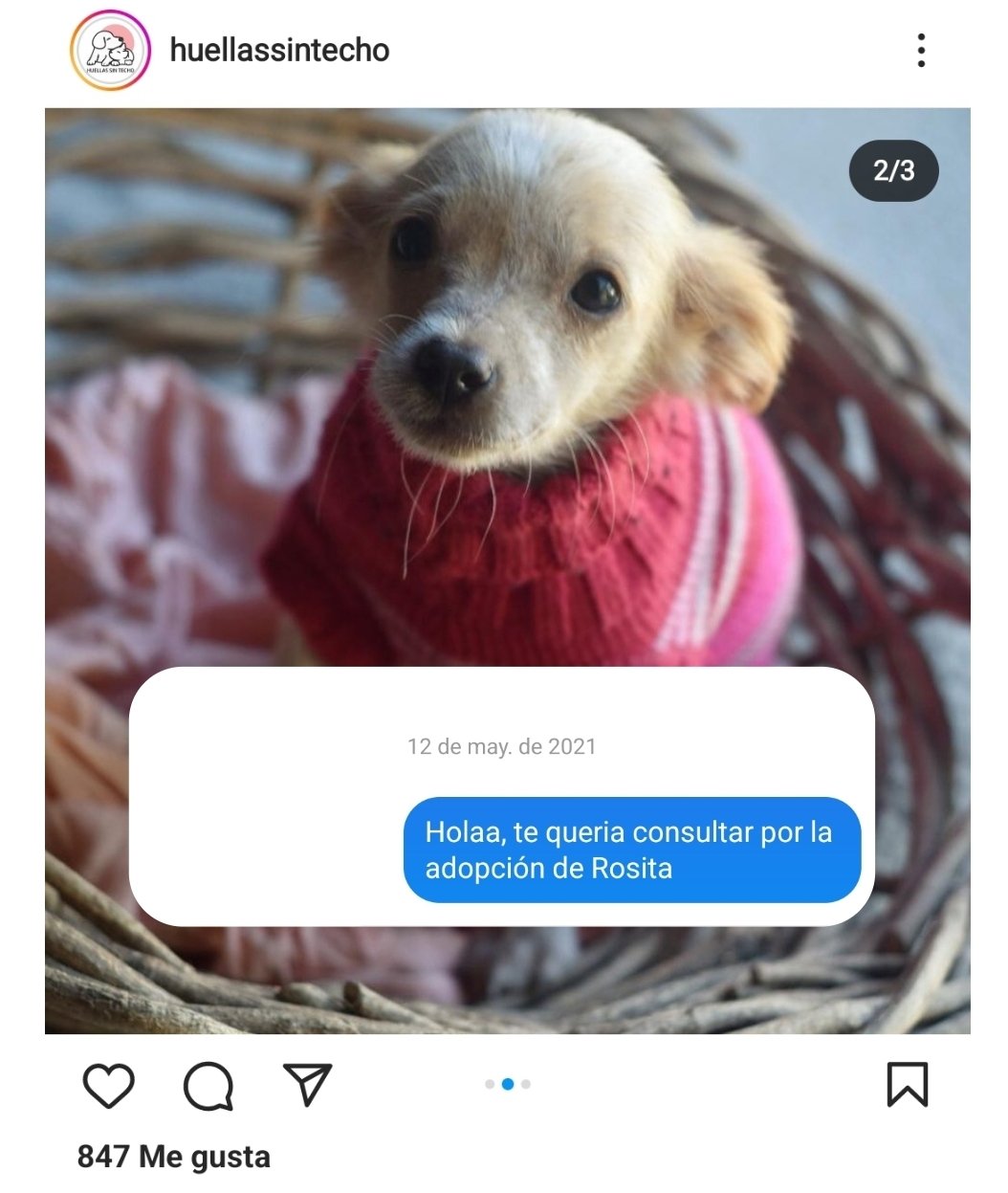 Maru 🍡 on Twitter: "así sí puedo participar (?) https://t.co/TGtf1f5Tz6" / Twitter