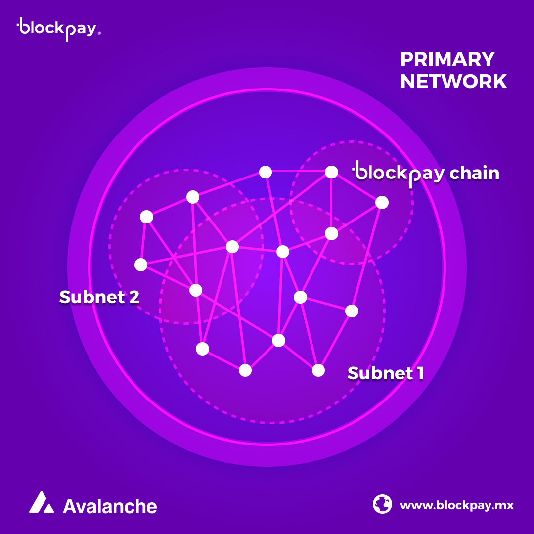 Blockpay 🔺 on Twitter: "Why did we choose to build on #Avalanche? Simply because there is no ...