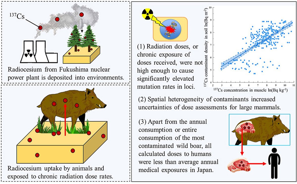 The Fukushima Daiichi Nuclear Power Plant disaster is teaching us a lot ...