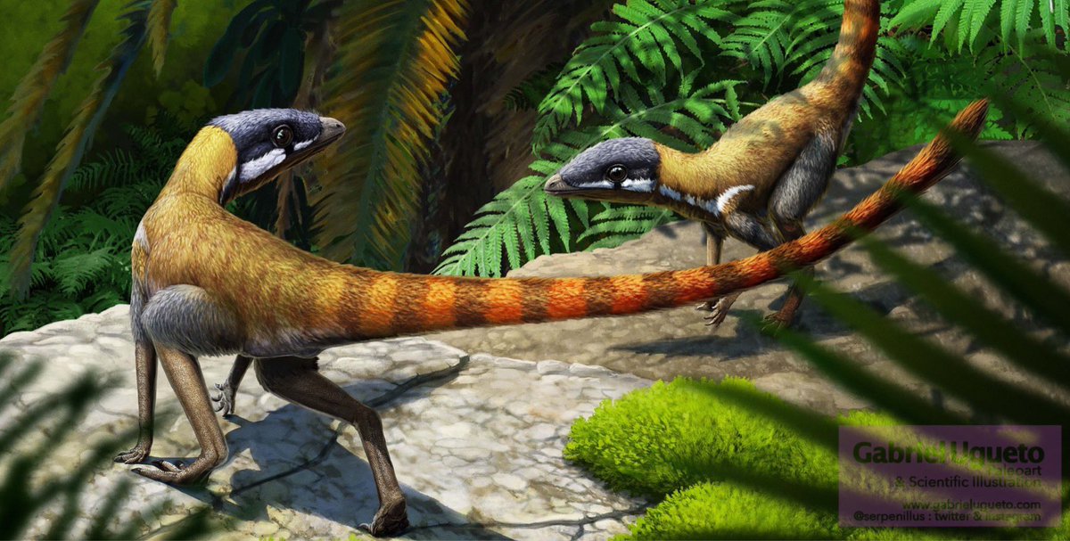 Gabriel N. U. (@SerpenIllus) さんのイラスト・マンガ作品まとめ (1,367 件) - Twoucan