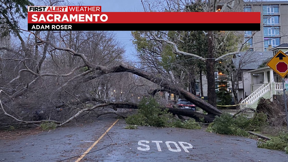 Nic Merianos On Twitter Severe Storms Knocked These Trees Down In