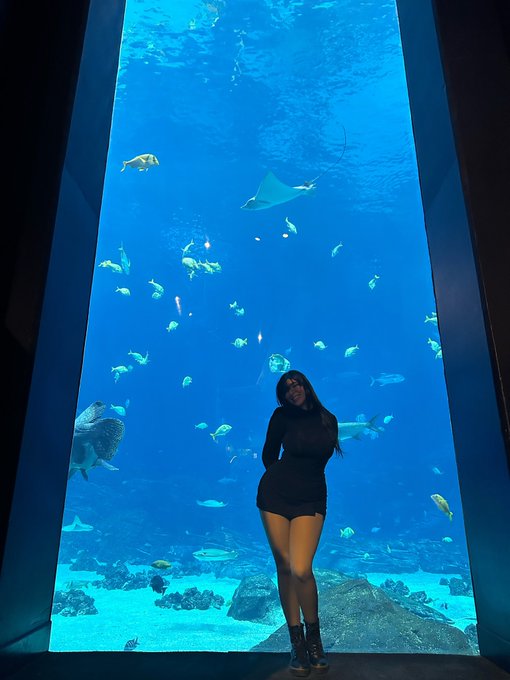 TW Pornstars - Oriana Santana ️‍🔥. The most liked pictures and videos ...