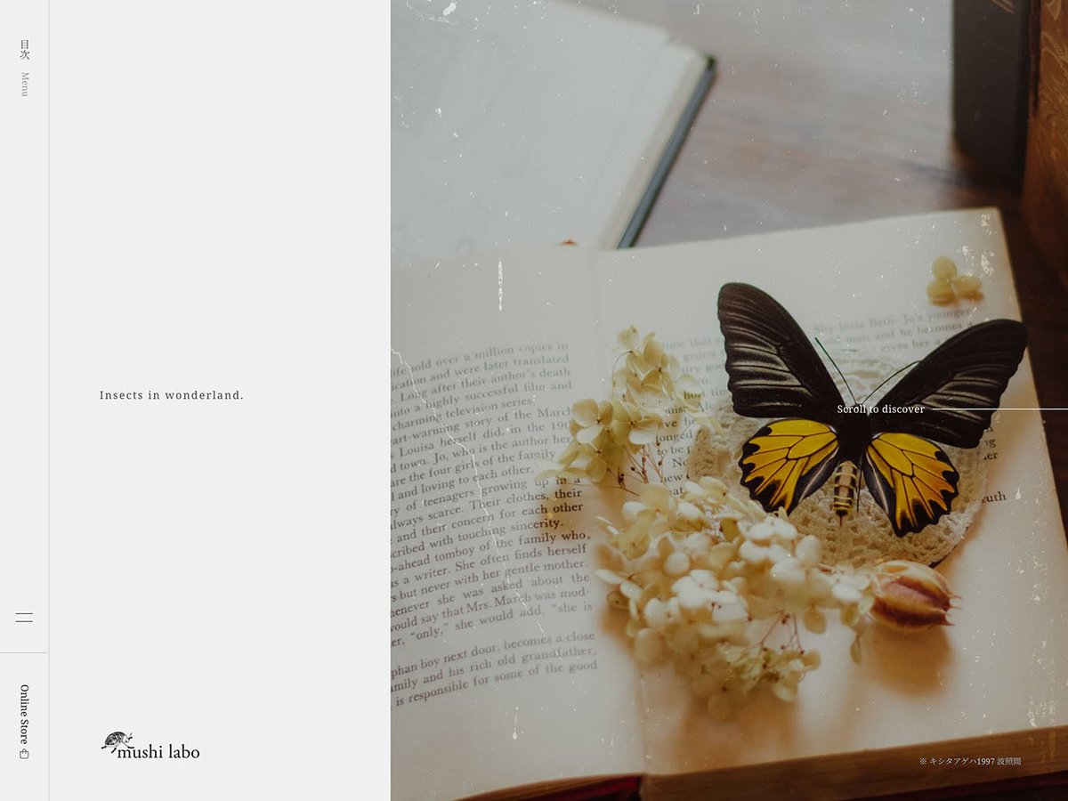 デザインのこと - Web design gallery on Twitter: "横スクロールなデザイン。 （シンプルで素敵です） muhi labo https ...