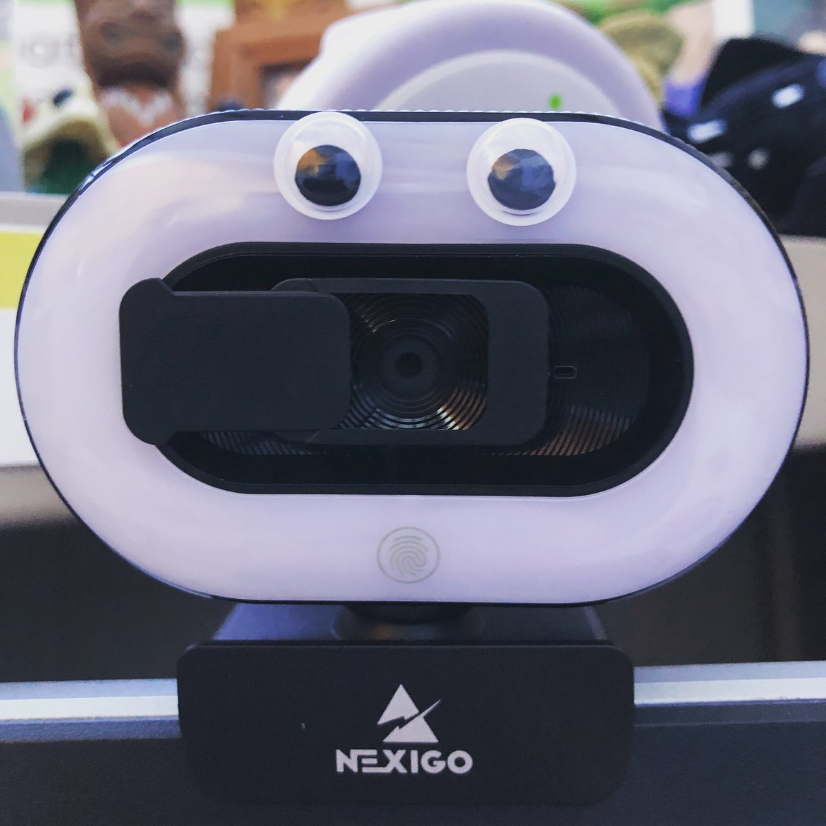 Devlin Donnelly Design – Historic Labels at the Stanley Museum