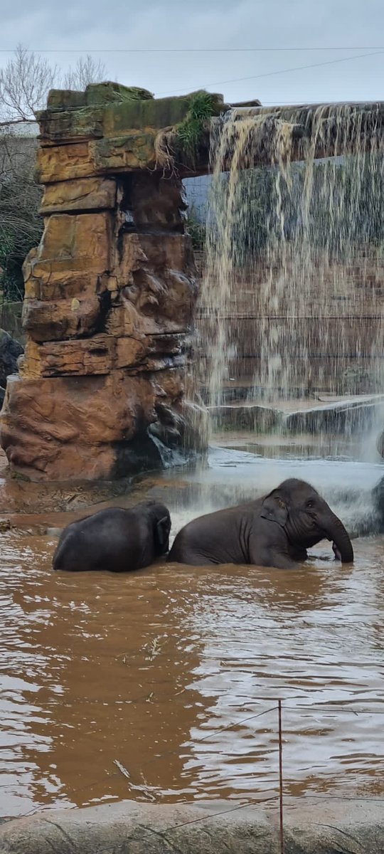 Home - Alice Ingham Roman Catholic Primary School