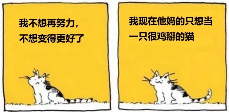 棉耶(mianye) On Twitter 不做跨性别啦!反正也成为不了女孩子 我要当一只很鸡掰的猫