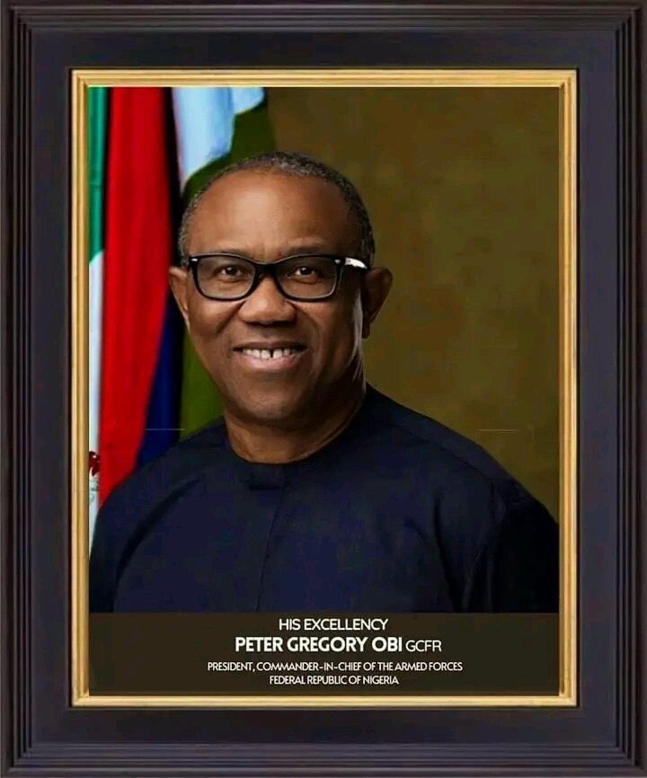 Hon. Joseph Uchenna'Geme A.C.I.A on Twitter: "RT @adeay0: My support goes to: Peter Gregory Obi ...
