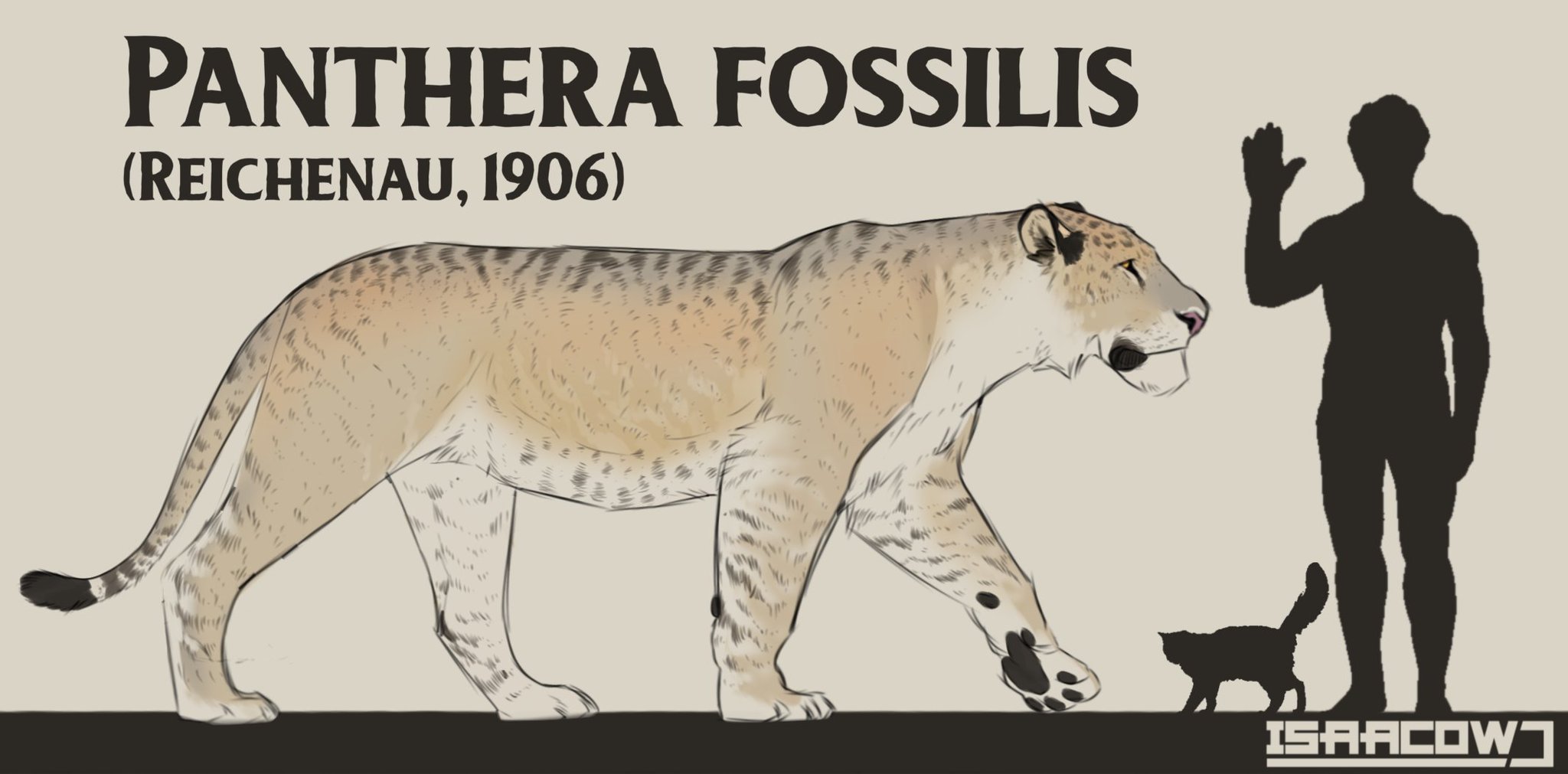 Panthera Leo Fossilis