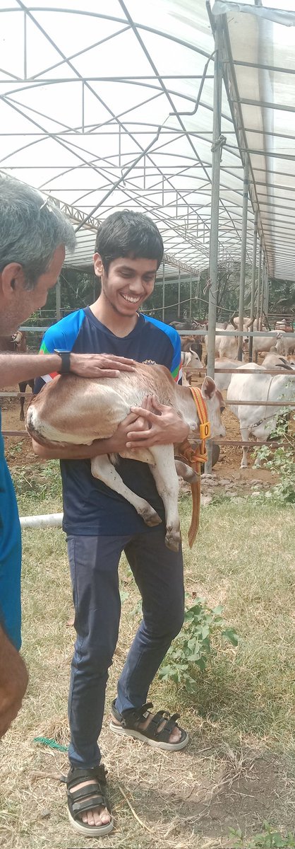 Dakshin Vrindavan on Twitter: "We were blessed to host an amazing cow loving family in our ...