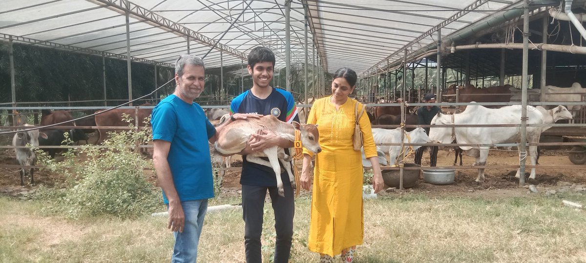Dakshin Vrindavan on Twitter: "We were blessed to host an amazing cow loving family in our ...