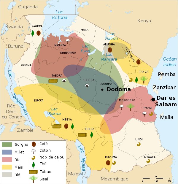 Tanzania inanunua tani 1,000,000 za ngano 🌾 kutoka nje ya nchi na kwa ...