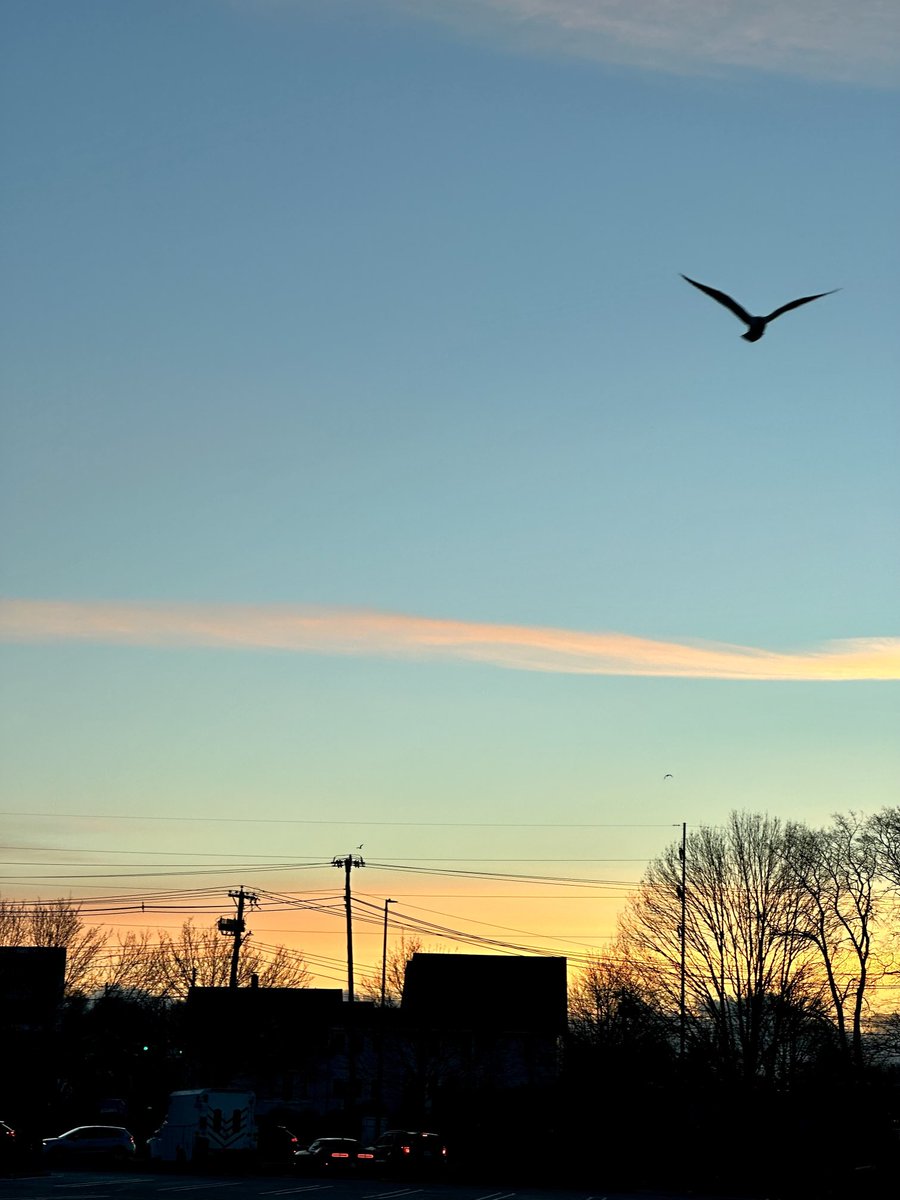 Stanley Forman Photos – The Home of Pulitzer-prize Winning Photographer ...