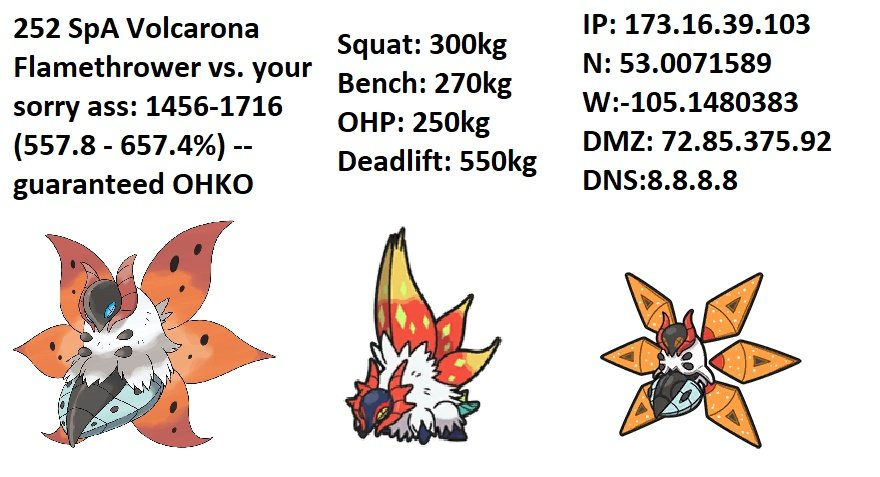 Larvesta Evolution Chart