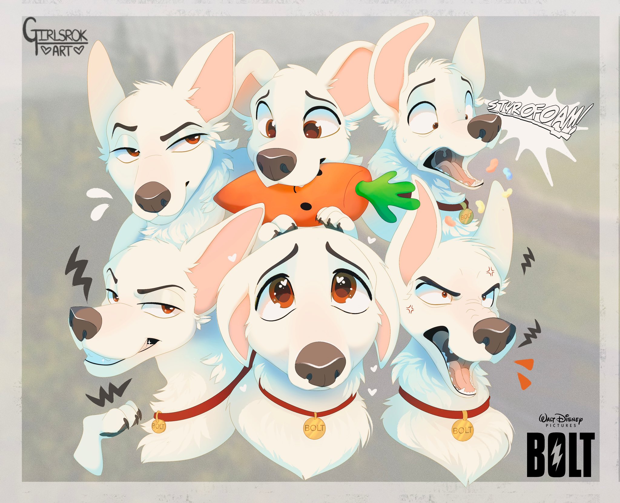 How Old Is Bolt The Dog