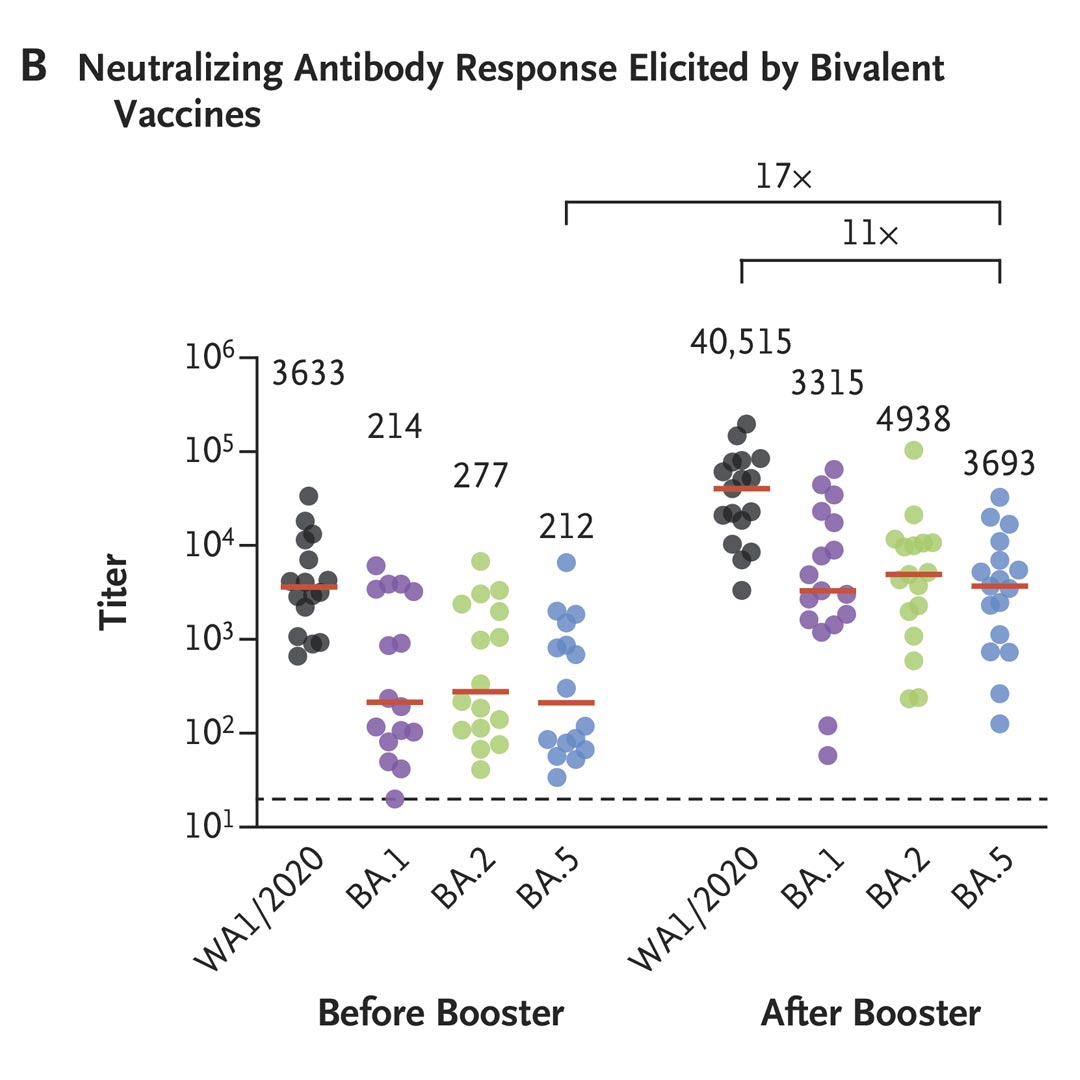 Antibody Neutralization
