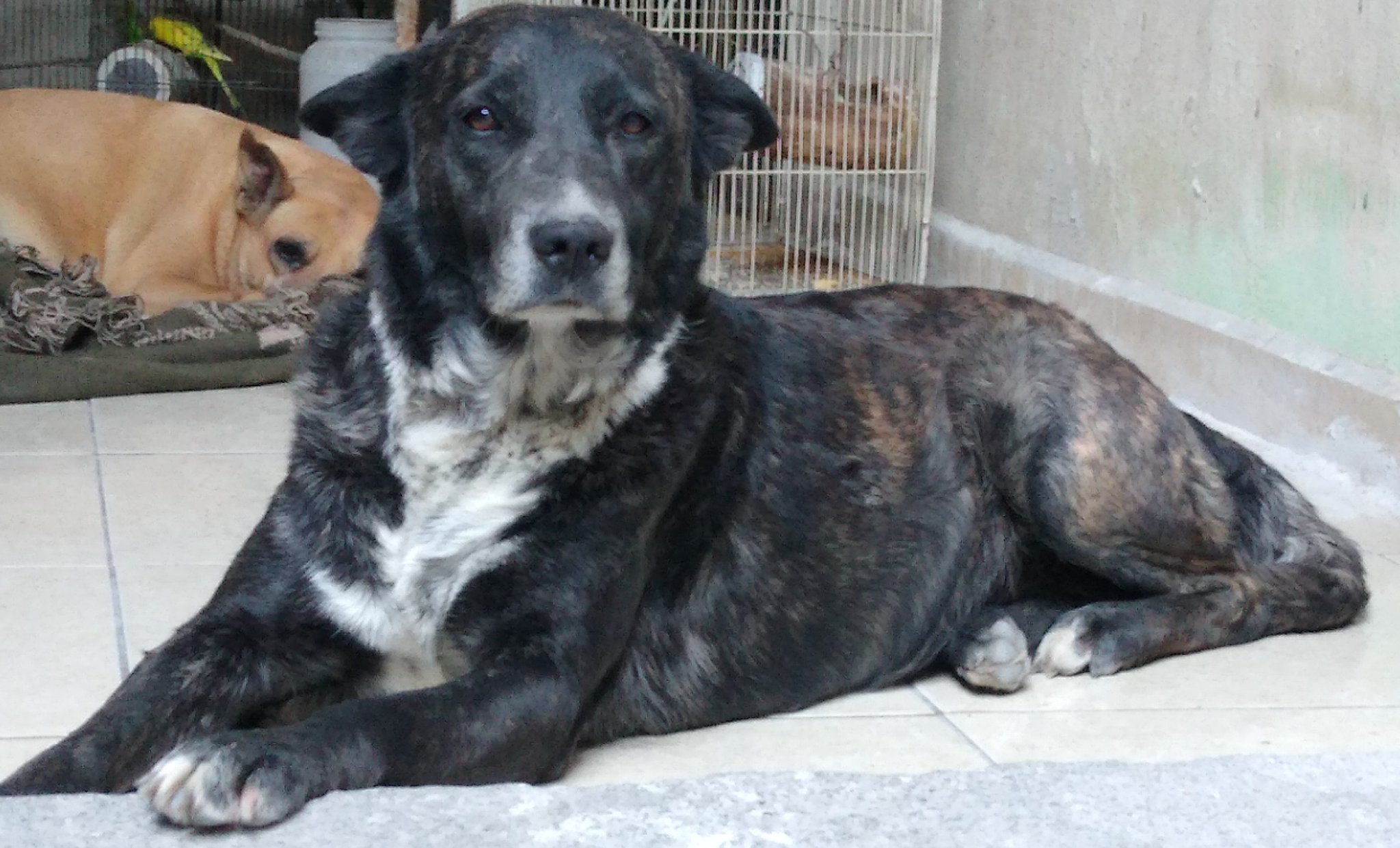 Sofia Mendez (@_sofi_m10) / Twitter