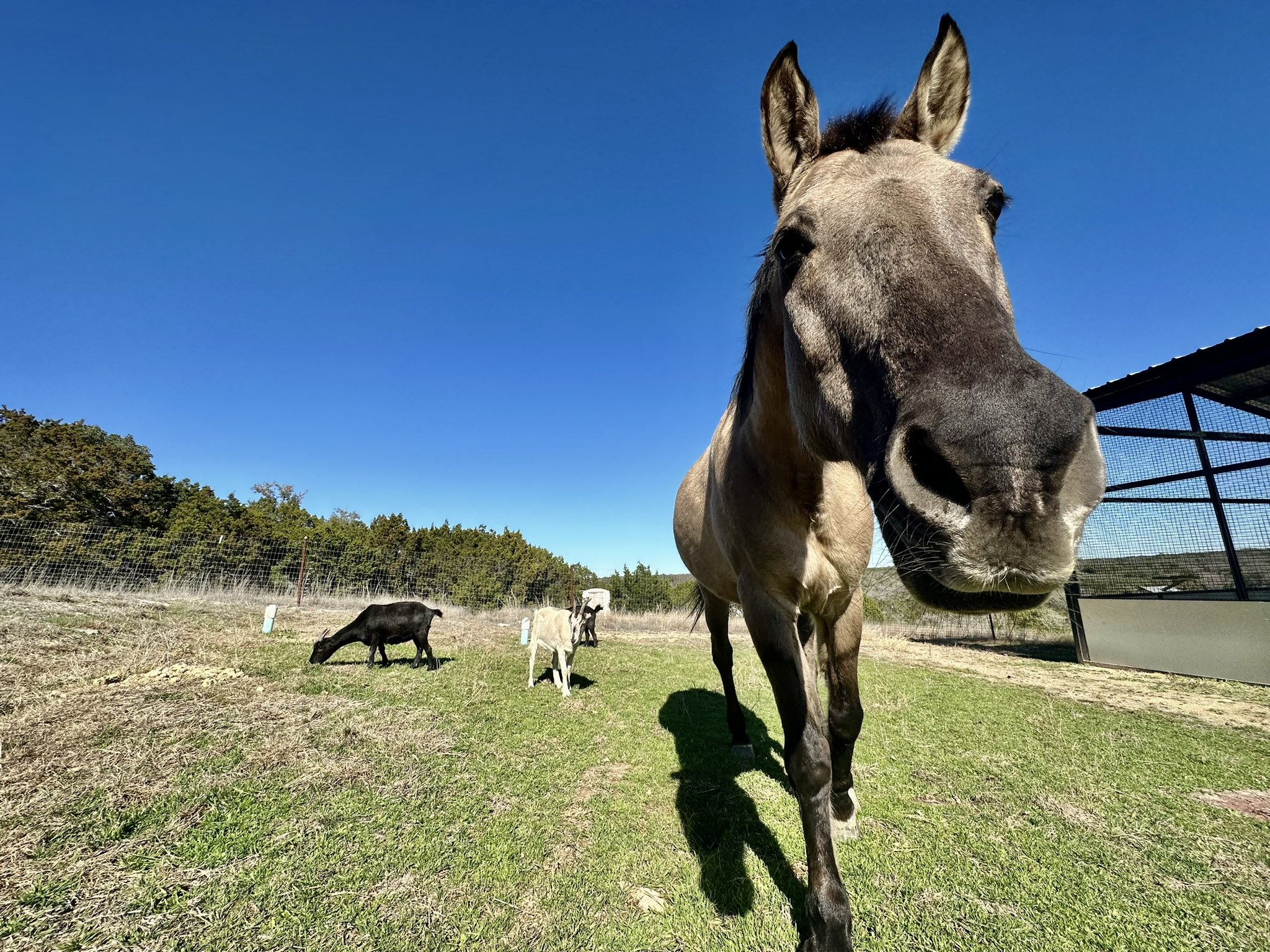 Maya on Twitter: "look how cute https://t.co/BhPS39bE0f" / Twitter