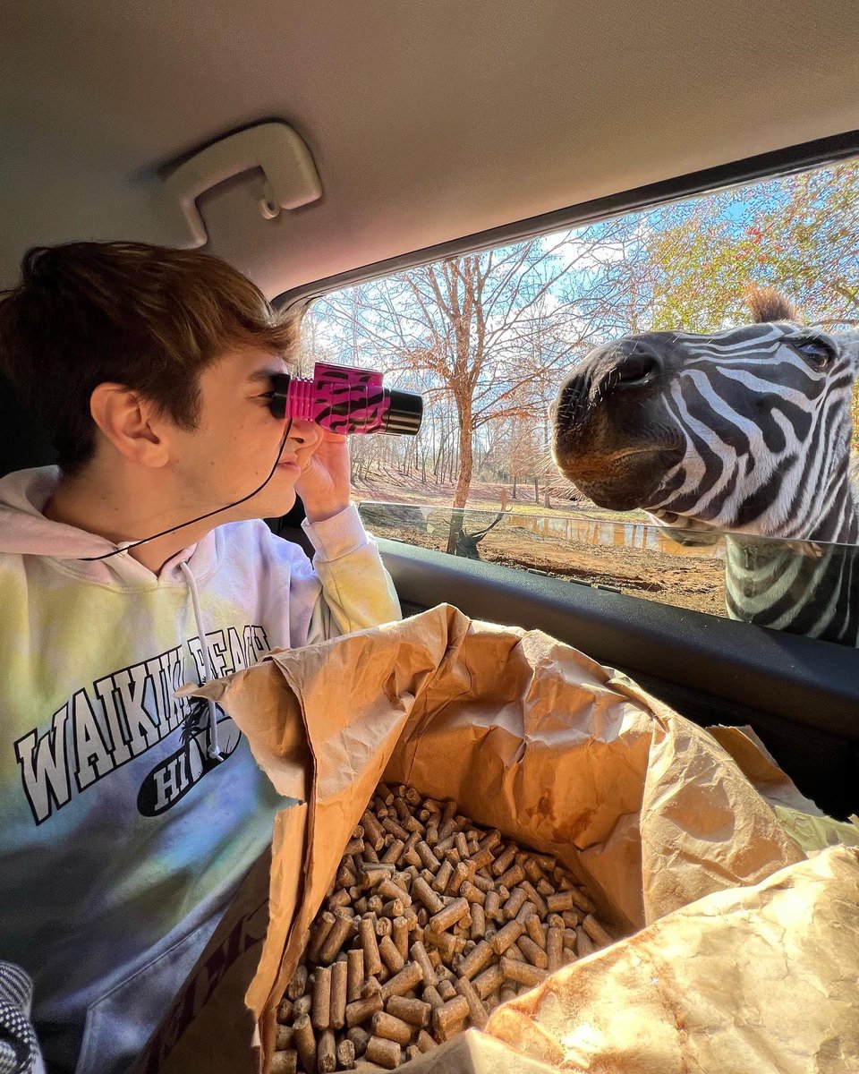 reggie on Twitter: "oh hello"