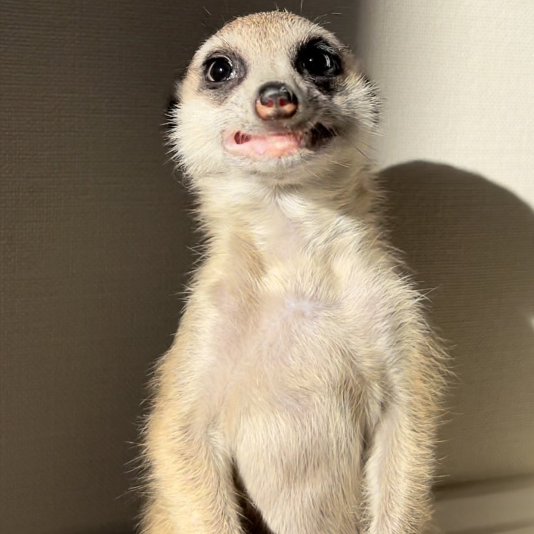 RaMu(らむ)のSNS(ブログ / Twitter) | WEBザテレビジョン(7325)