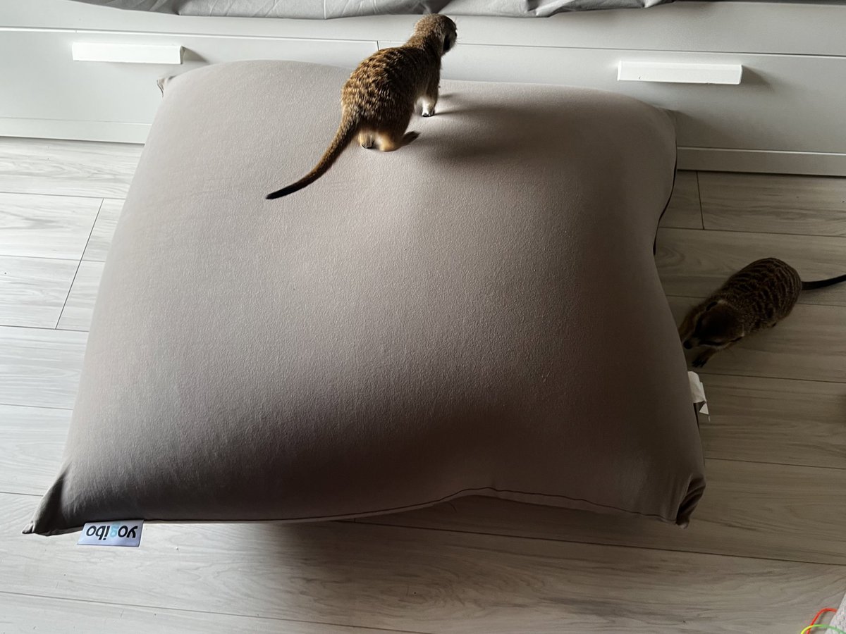 RaMu(らむ)のSNS(ブログ / Twitter) | WEBザテレビジョン(7325)