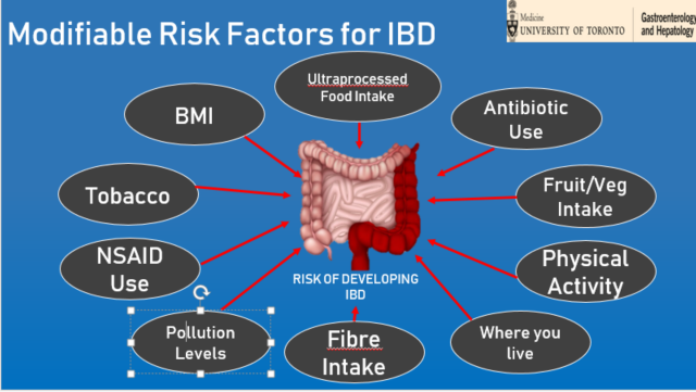 🌟🌟CAN WE REALLY PREVENT IBD BY ADOPTING A HEALTHY LIFESTYLE 🌟🌟 🌟🌟SHOULD ...