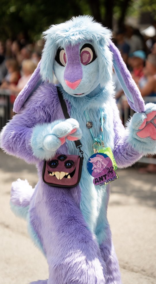 Fursuit Review on Twitter: "New #fursuit review (written by @theAntperson): [YES] Ant the Rabbit ...