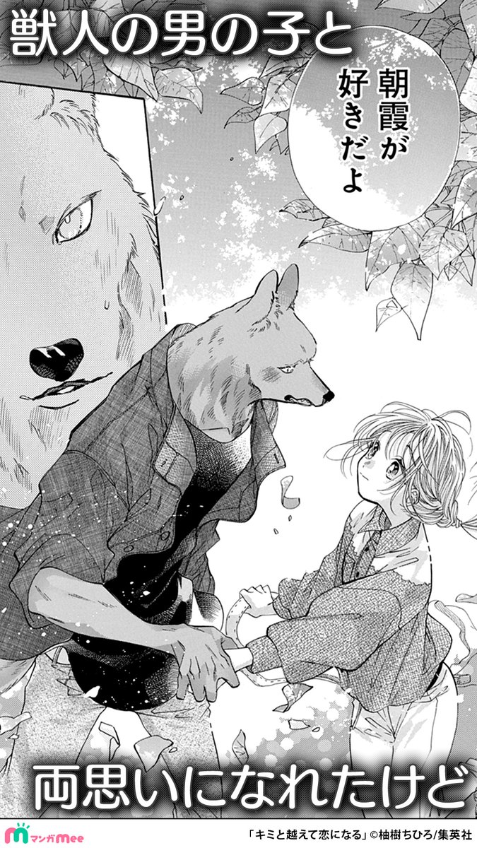 マンガMeeおすすめ漫画紹介【公式】 on Twitter: "好きな獣人の幼馴染に威嚇される話 (1/2) #PR 続きはマンガMeeで！ https://bit.ly/3XhH40Y"