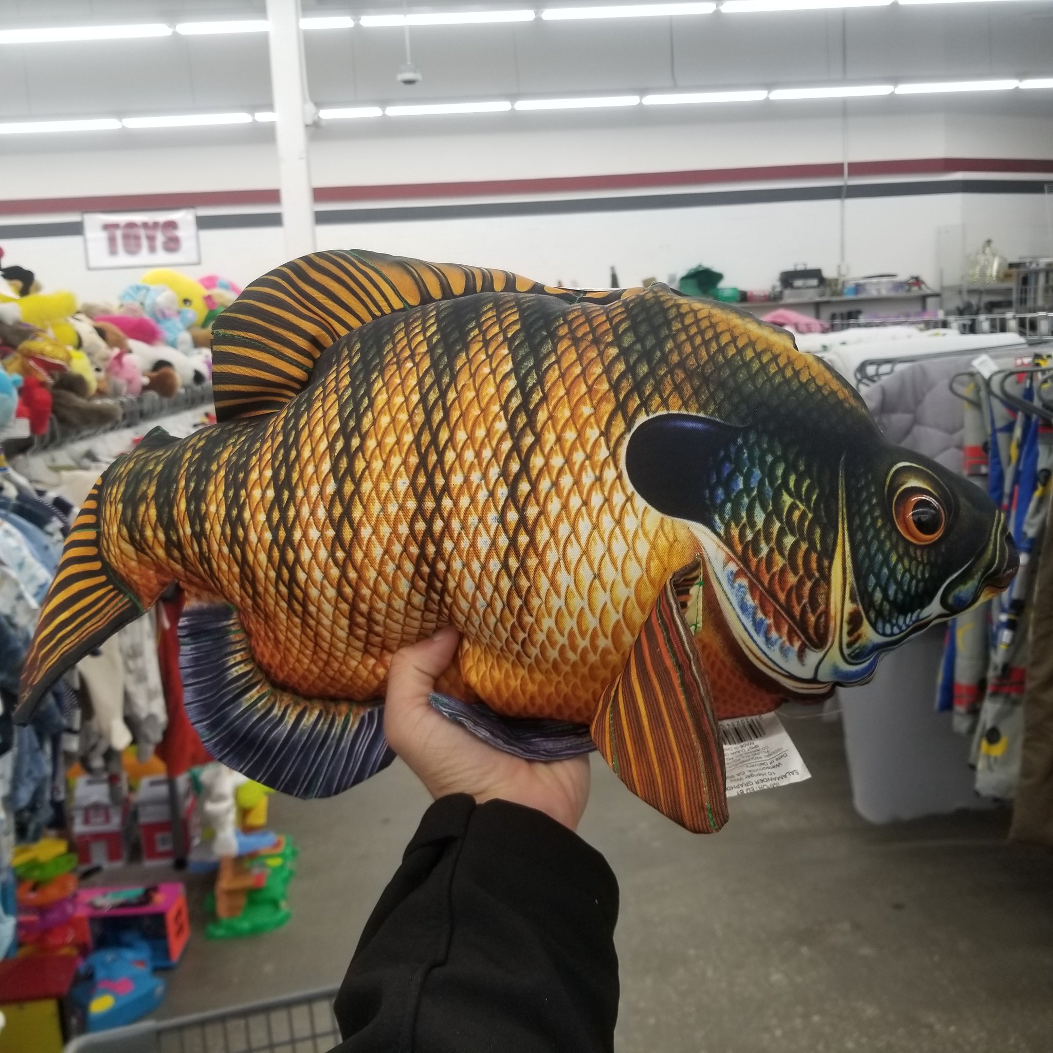 Giant Killer Fish