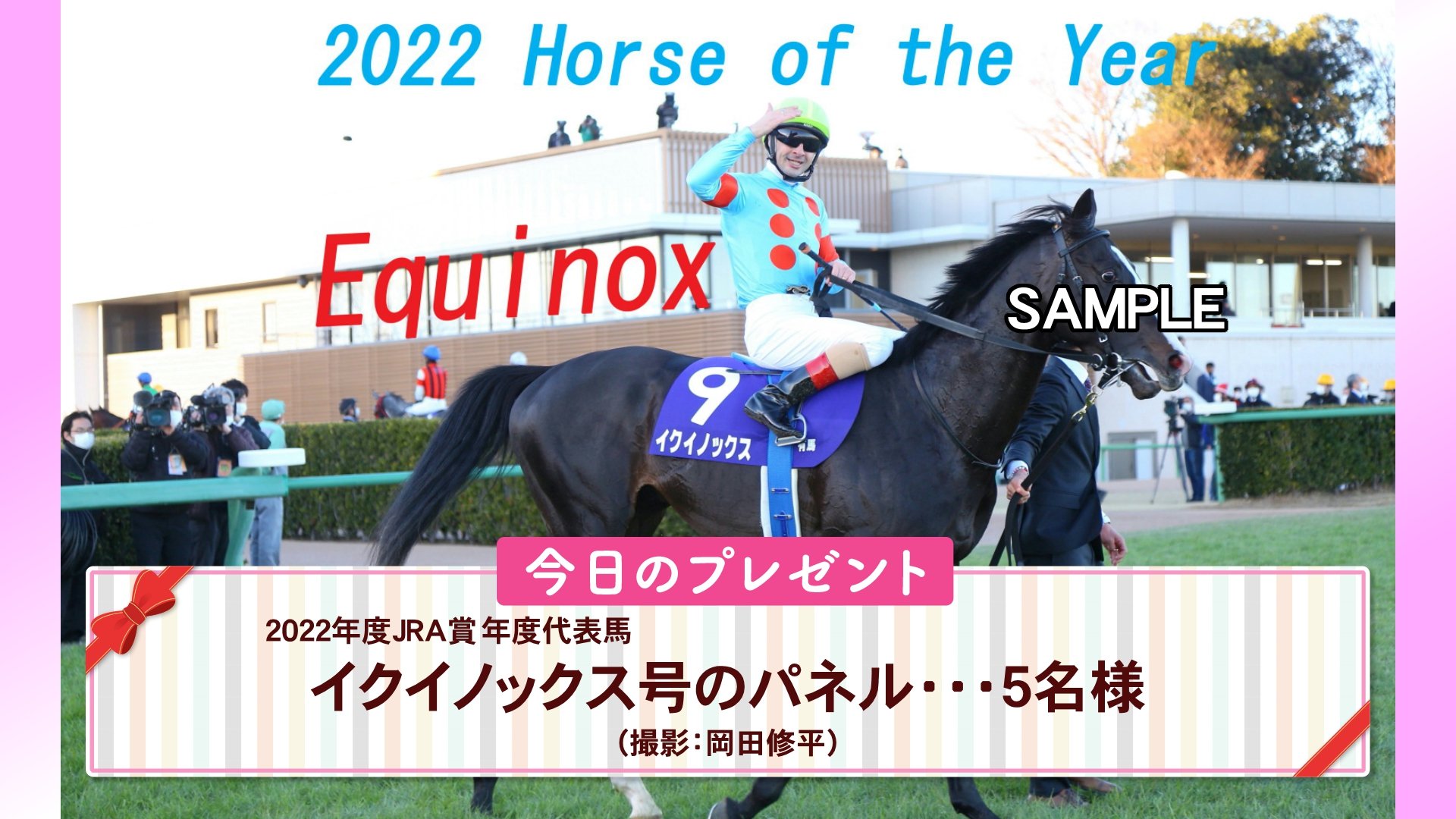 JRA-VAN2022年有馬記念イクイノックス レースパネル - コレクション