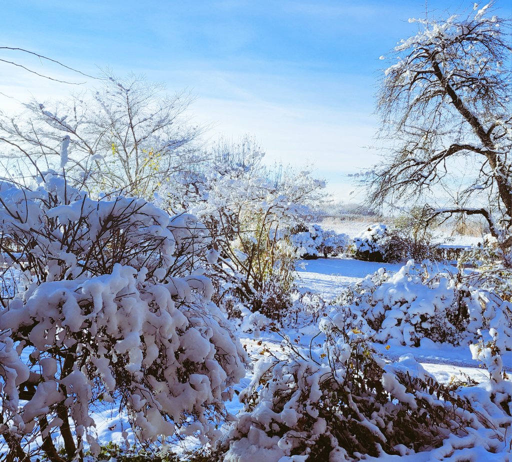 Ra'afat (@raafat_saleh) / Twitter