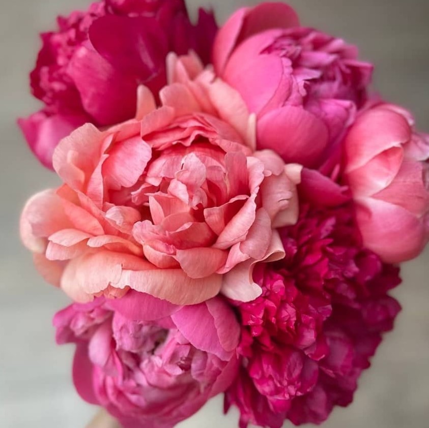 rei_ralfさんのイラストまとめ