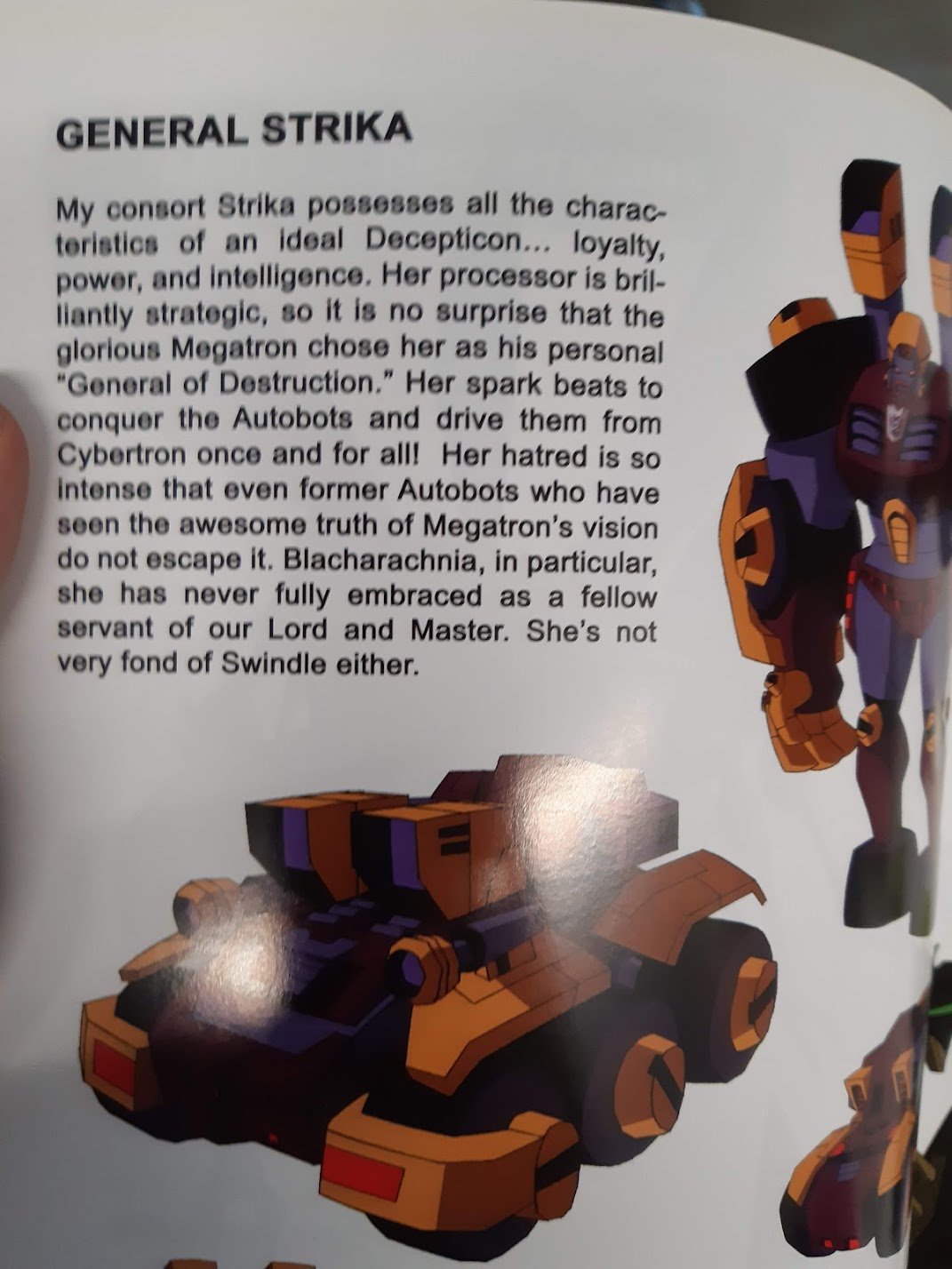 Transformers Animated Strika