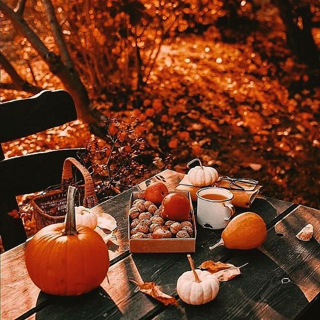Fall Pumpkin Photography Tumblr