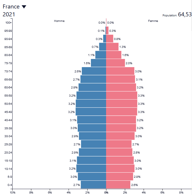 Population pyramid