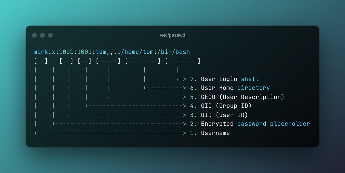 Everything you need to know about the `/ etc/passwd` file in Linux ...