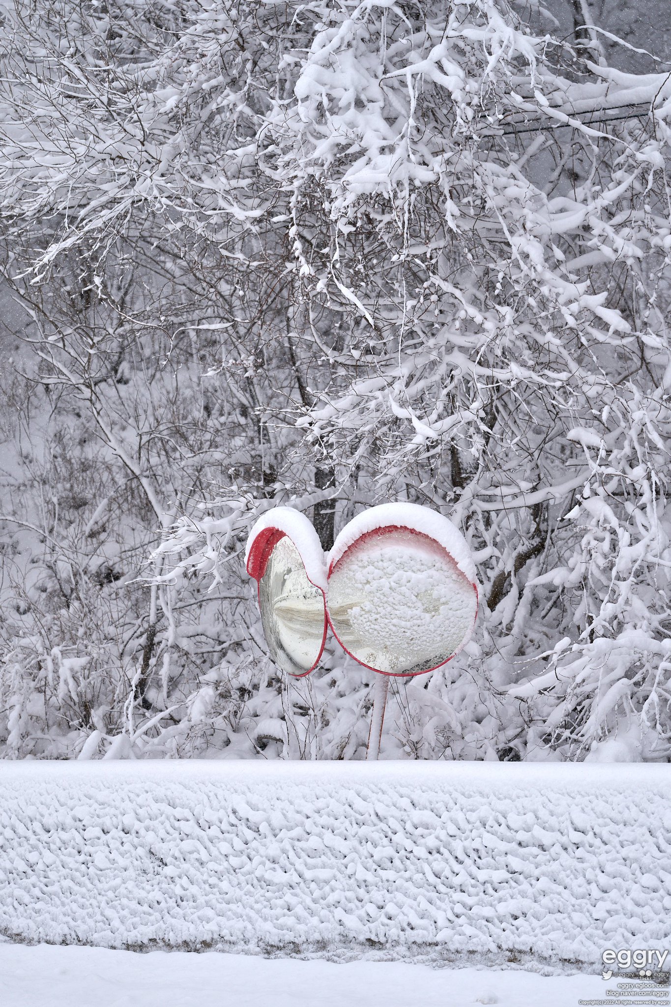 eggry on Twitter: "20230115 #평창 #눈 https://t.co/9vZ6OuPdRa" / Twitter