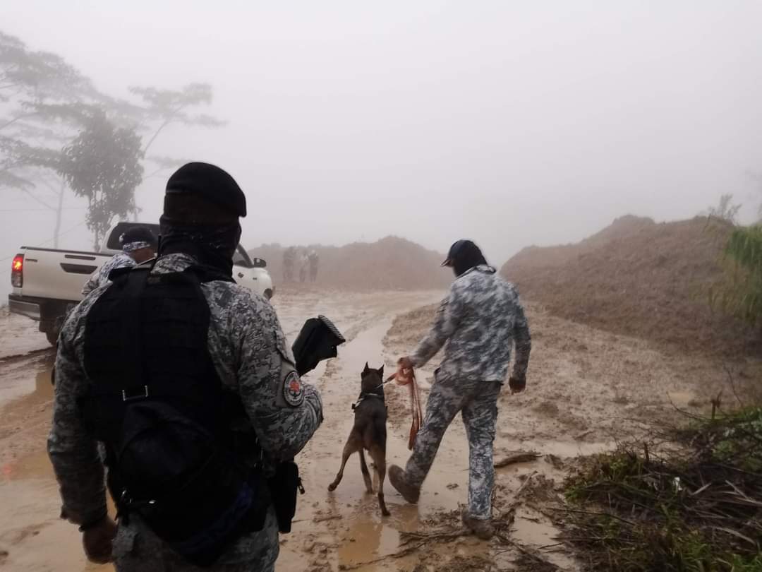 Philippine Coast Guard on Twitter: "TINGNAN: Tumulong ang @coastguardph K9 Force sa SEARCH AND ...