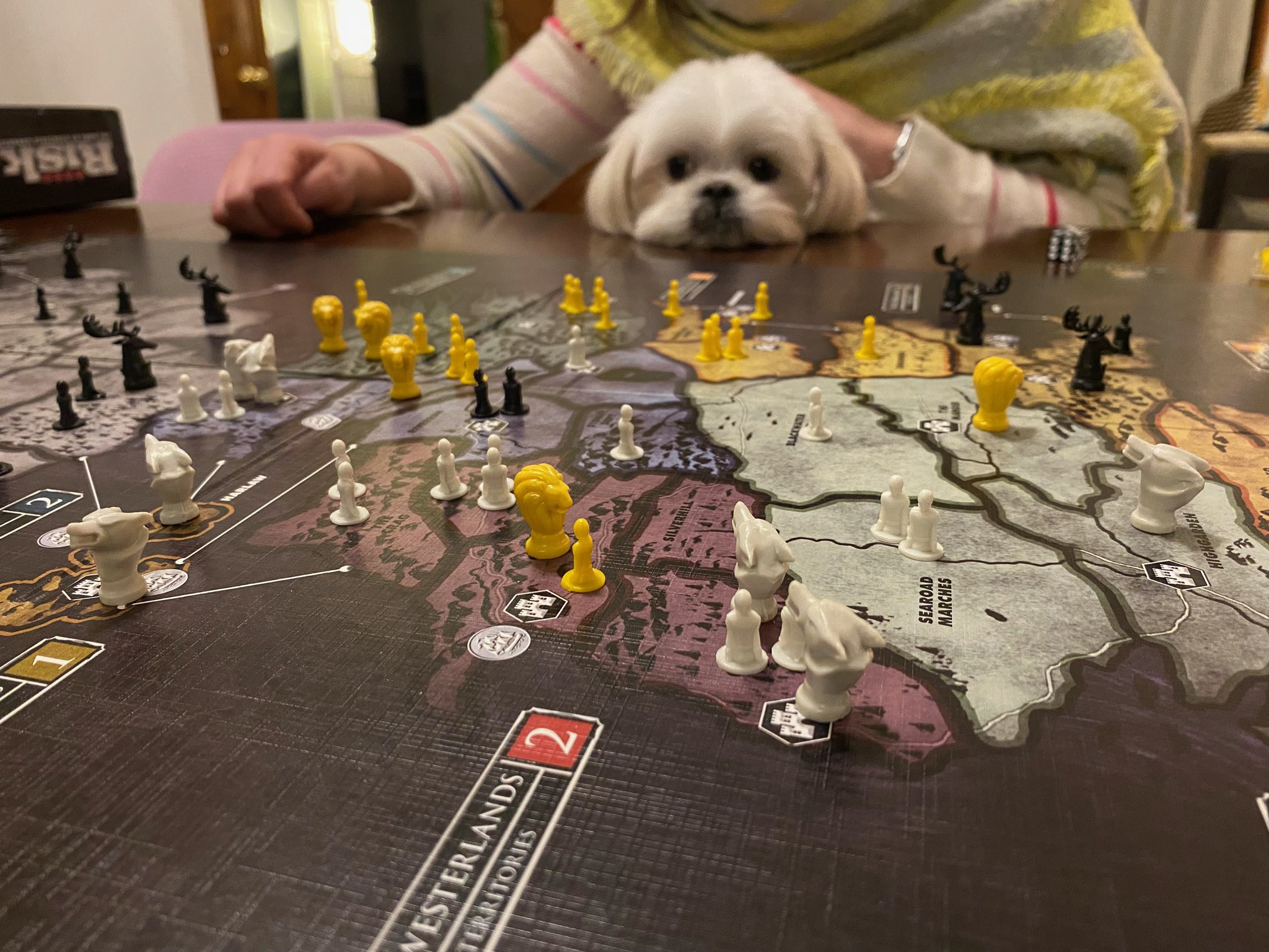 Ryan Arey 🇺🇦 on Twitter: "Doug is planning out his next move in Game of Thrones Risk. https://t ...