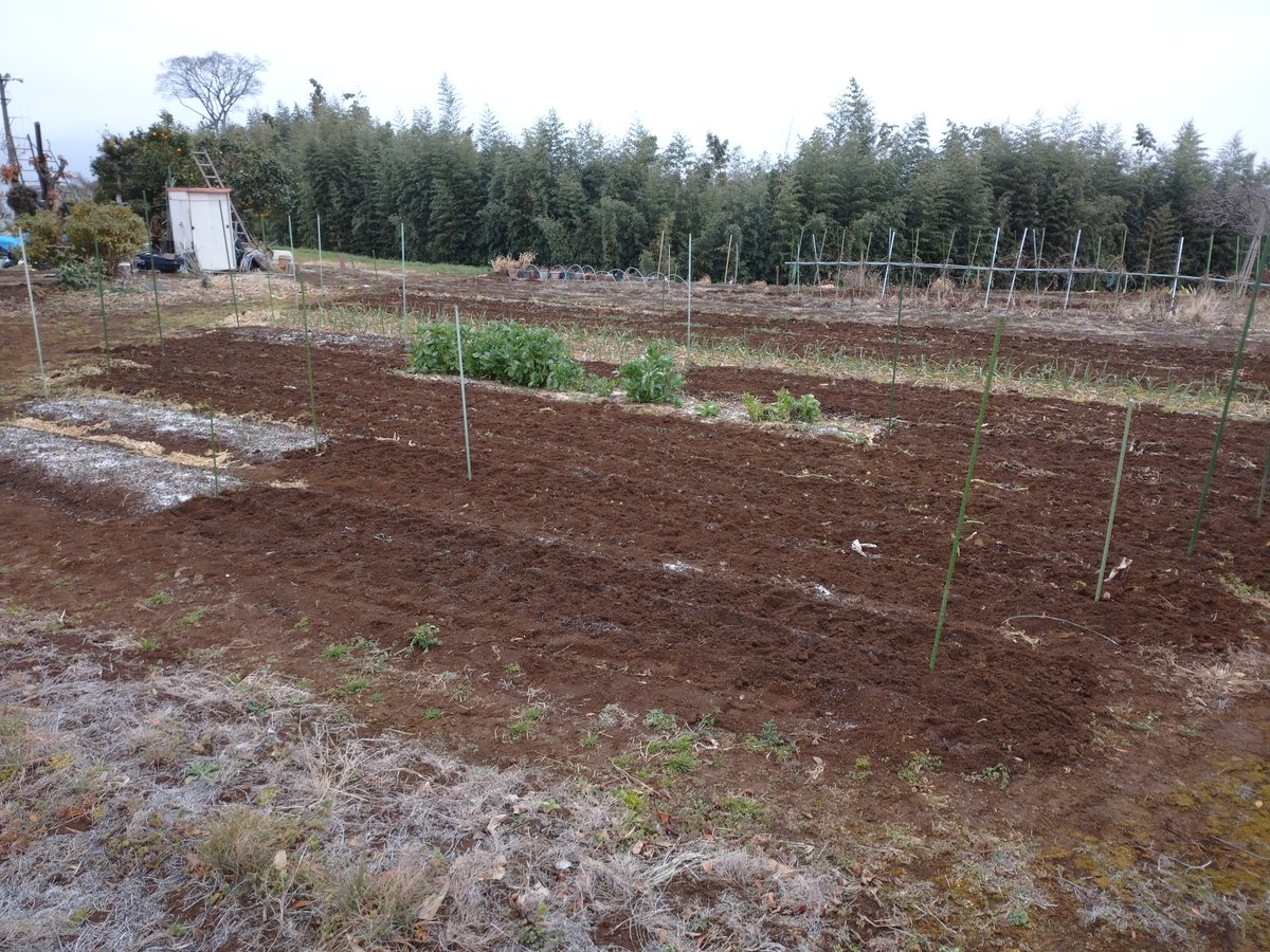 出納雅人(Masato Denoh）(@mst_denou) - Twilog