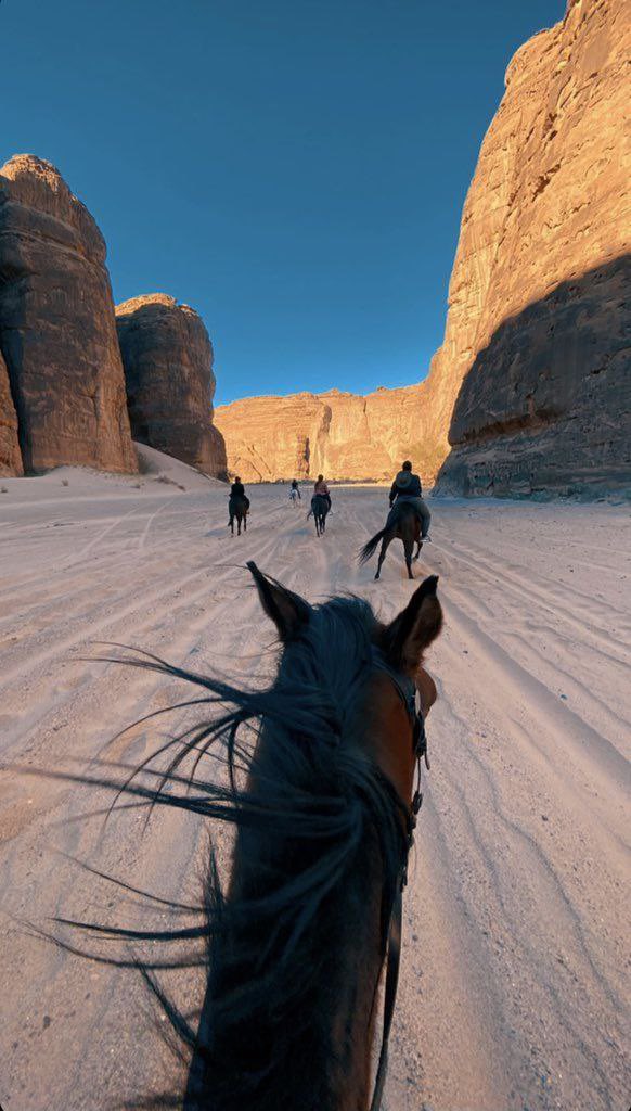 🫀⚓️ on Twitter: "RT @arab11__: Saudi desert"