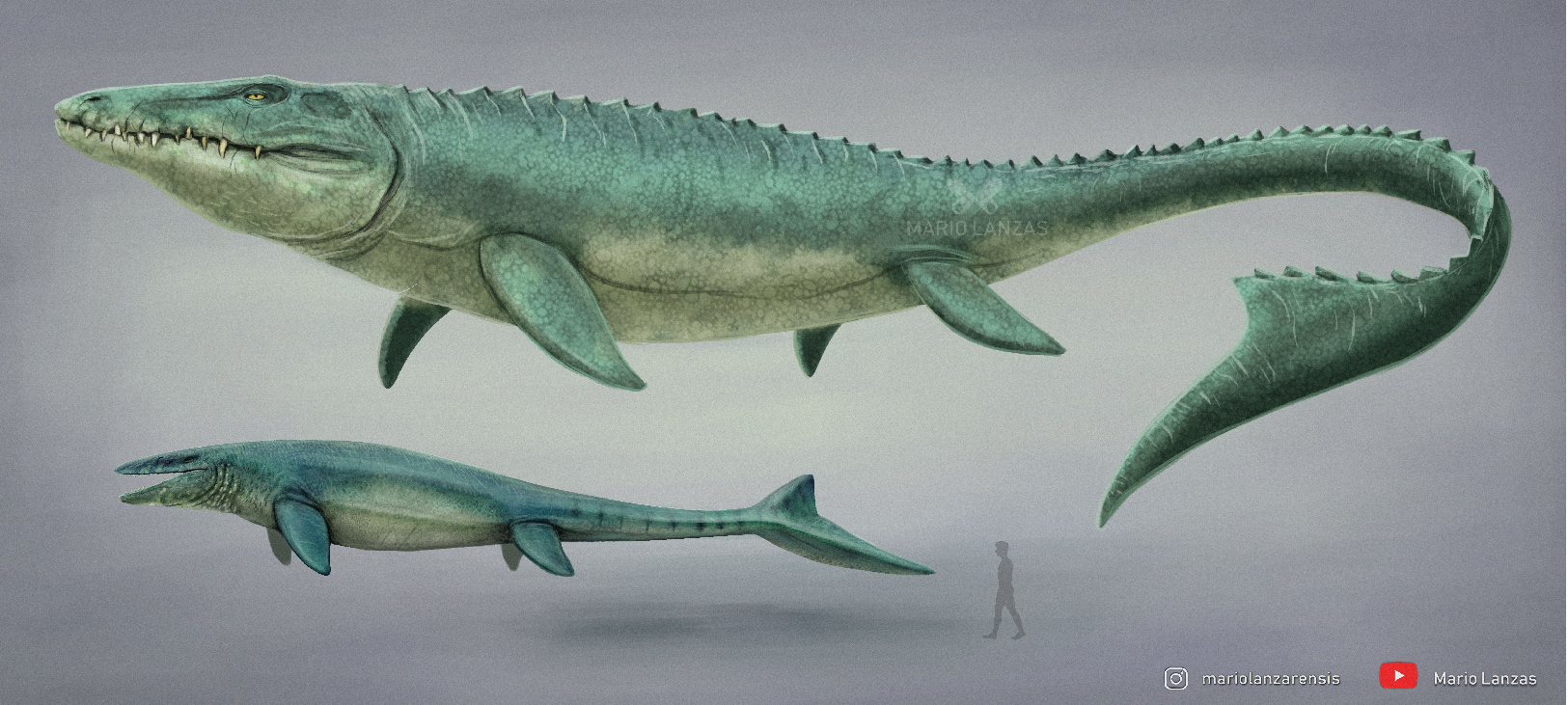 Mosasaurus Size Comparison