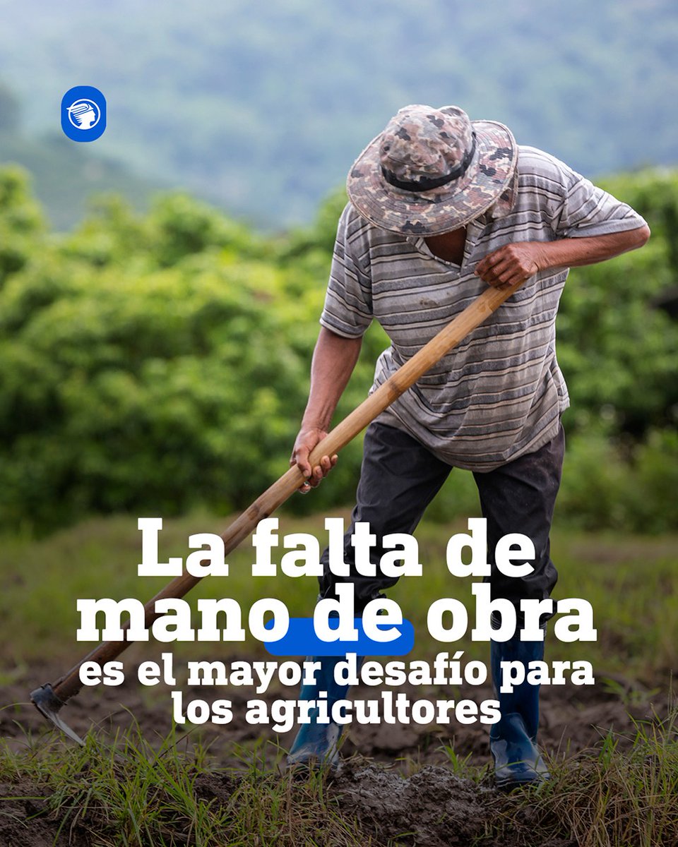 El principal desafío de la agricultura en EE.UU. es la falta de mano de ...