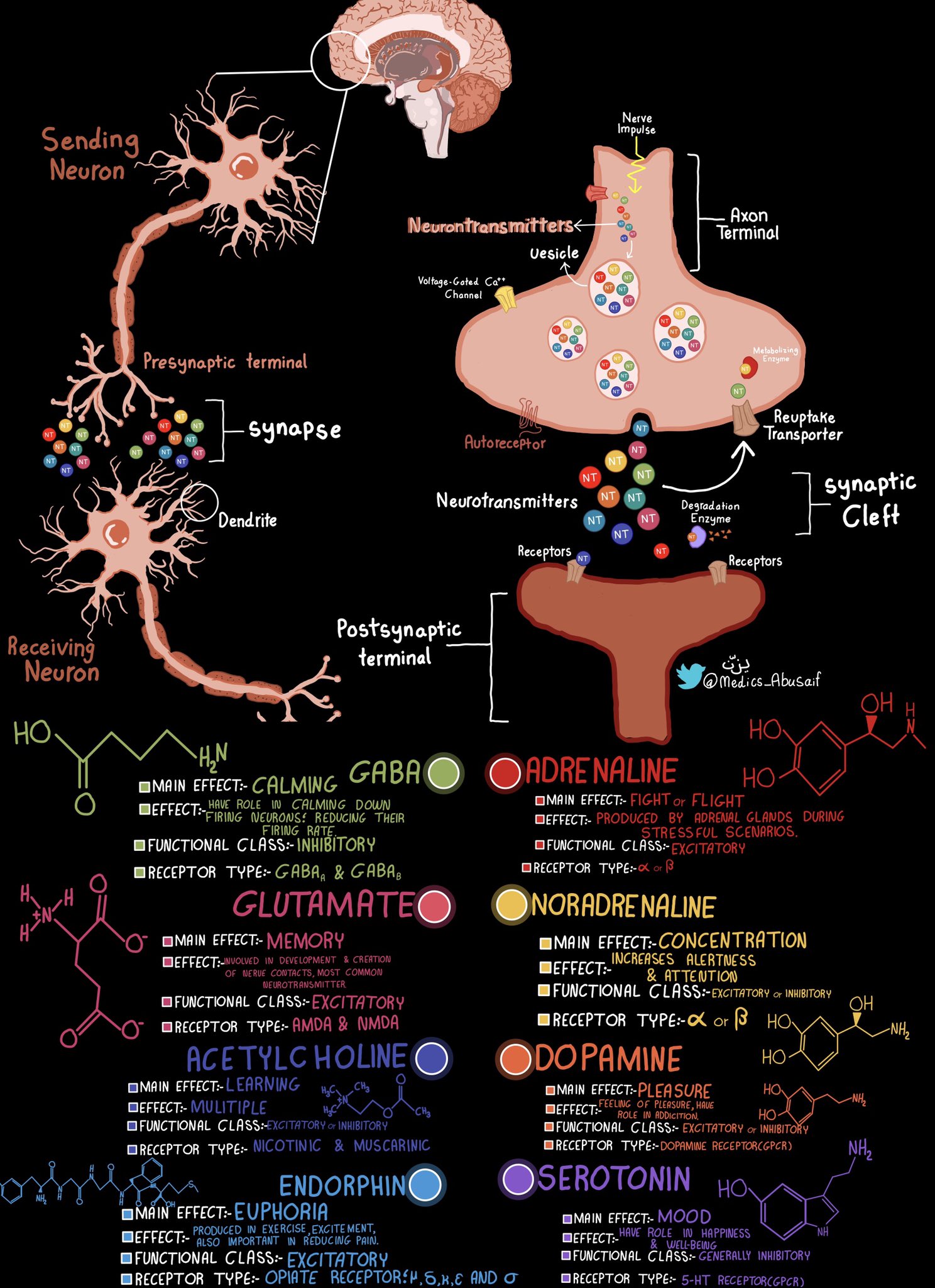 Types Of Neurotransmitters