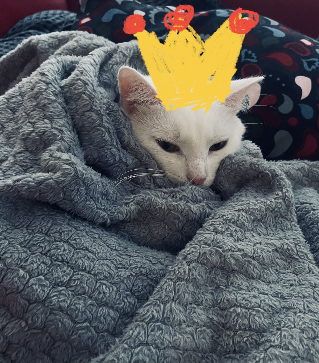 Kuba 👨‍🏭's Threads – Thread Reader App