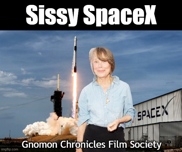 Brendon On Twitter Rt Gnomonchronicl1 Sissy Spacex