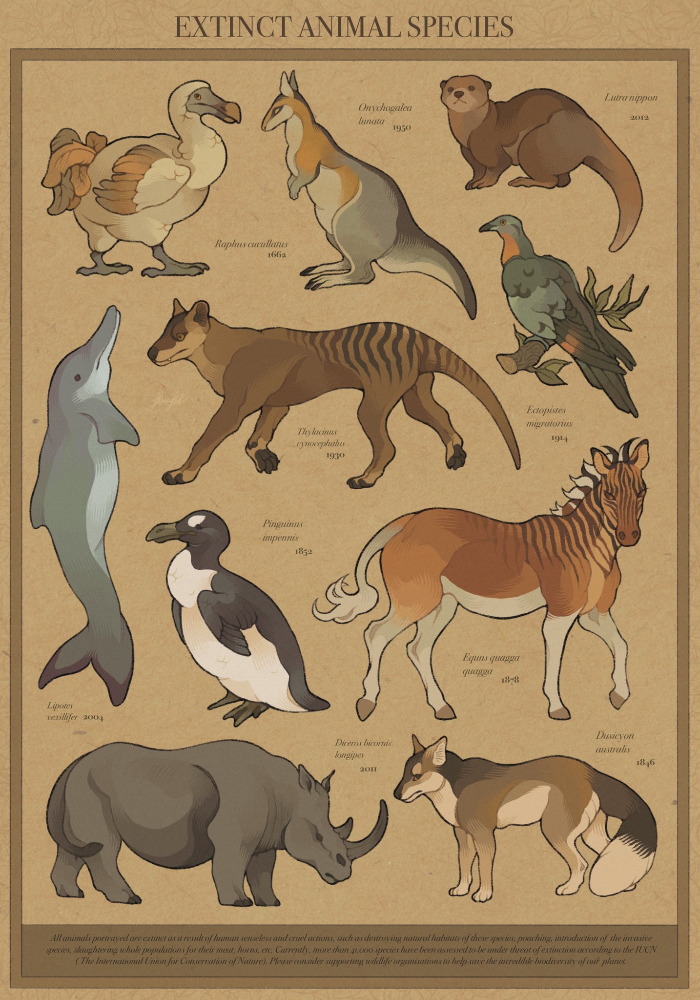 Extinct Animals With Names Argonus Fauna 45 Same Critter, Different