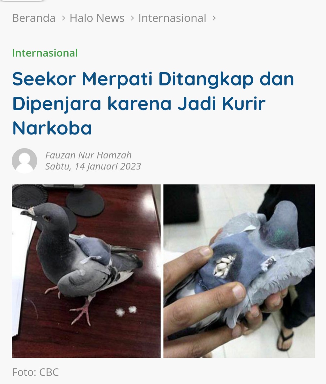 txtdrimedia on Twitter: "https://t.co/mTjP6r4SAX" / Twitter