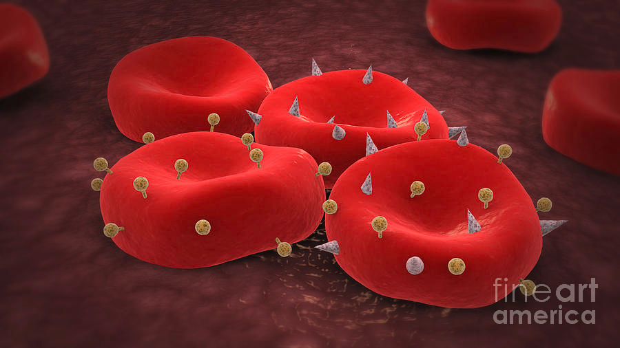 Thread by @Locuste_ on Thread Reader App – Thread Reader App