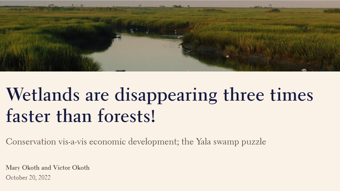 Africa GeoPortal on Twitter: "This week we feature this story by #MaryOkoth on the Yala wetlands ...