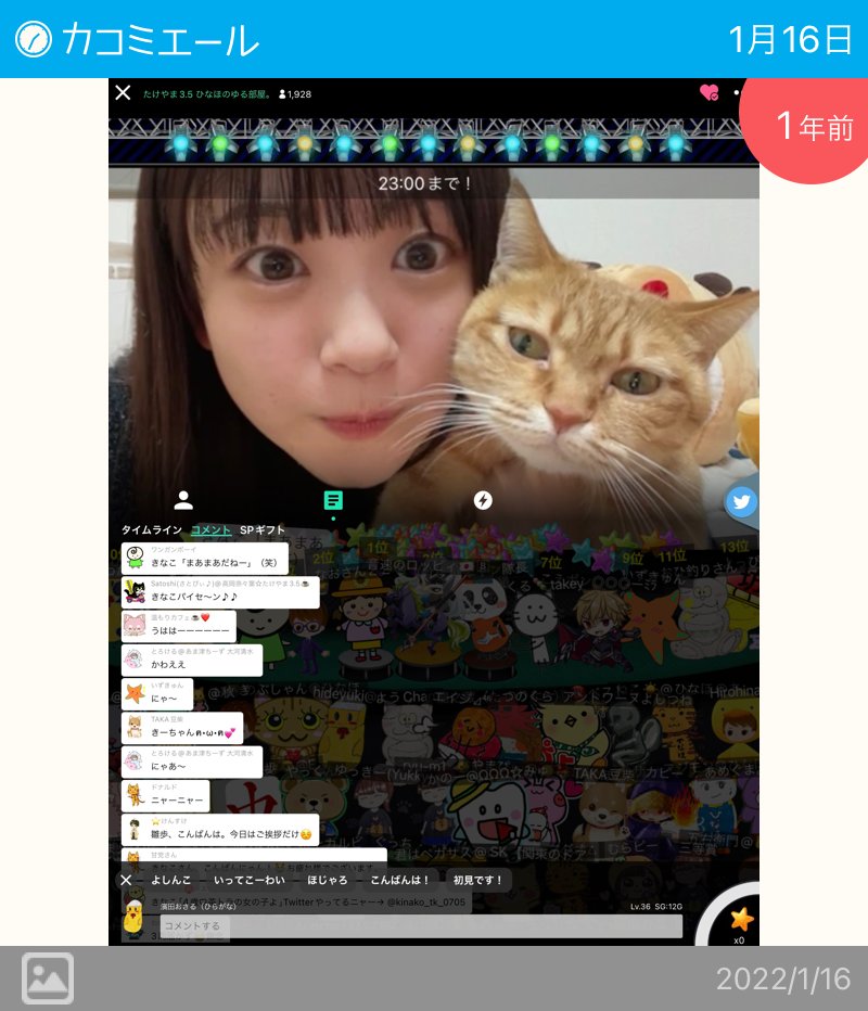 濱田おさる（ひらがな） on Twitter: "#カコミエール https://goo.gl/3dgTcI https://p38fn.app.goo.gl/u9DC"